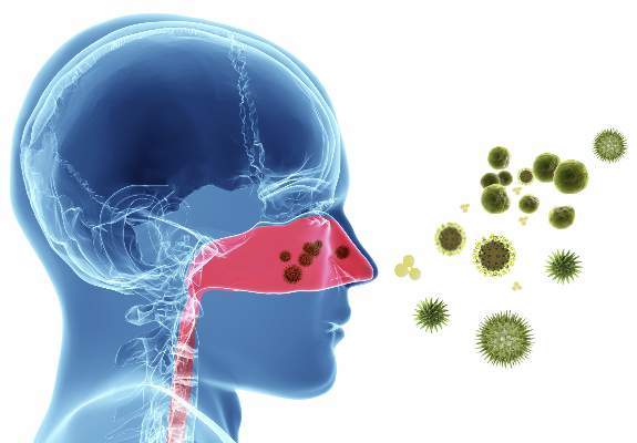 Allergic Rhinitis, Diagnosis | | ENT clinical Examination